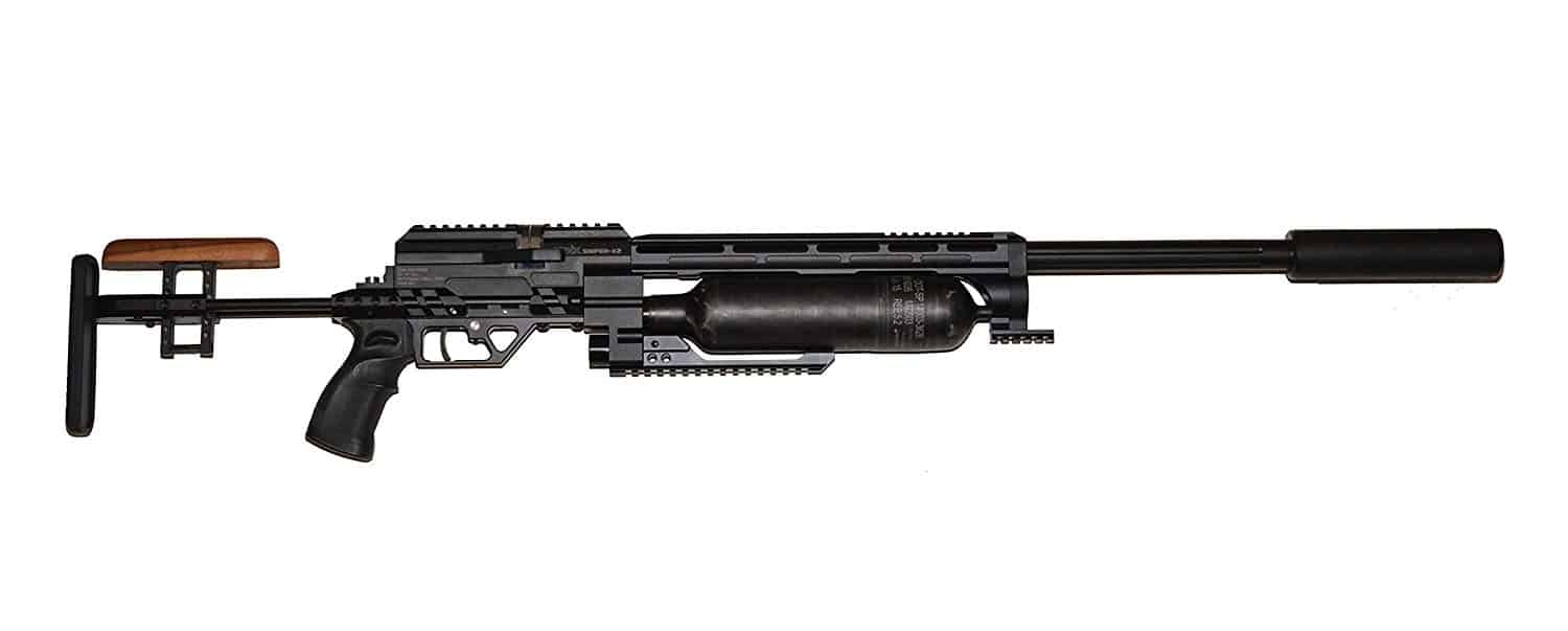 Best Big Bore Air Rifle Reviews | Air Rifle Pro