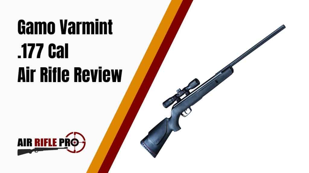 Gamo Varmint .177 Cal Air Rifle Review | Air Rifle Pro